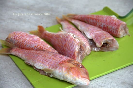 Le rouget barbet - Les Joyaux de Sherazade