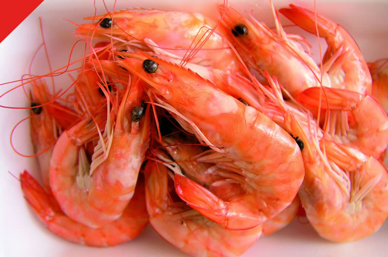 Chtitha, soupe, verrine et amuse bouche de crevettes - Les Joyaux de ...